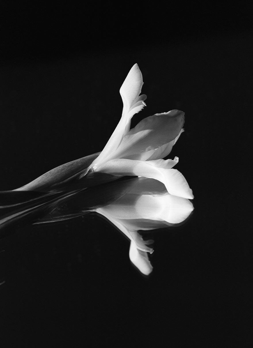 PICHULIK Handmade South African Jewellery: The Women Behind Pichulik ...